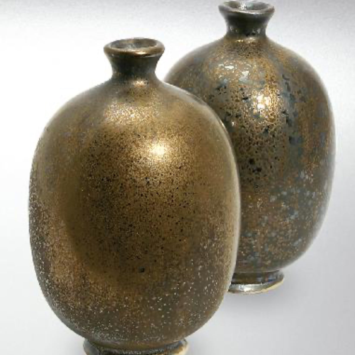 Terracolor Bronze Matt 630A Powdered Stoneware Glaze – Kettles Pottery ...