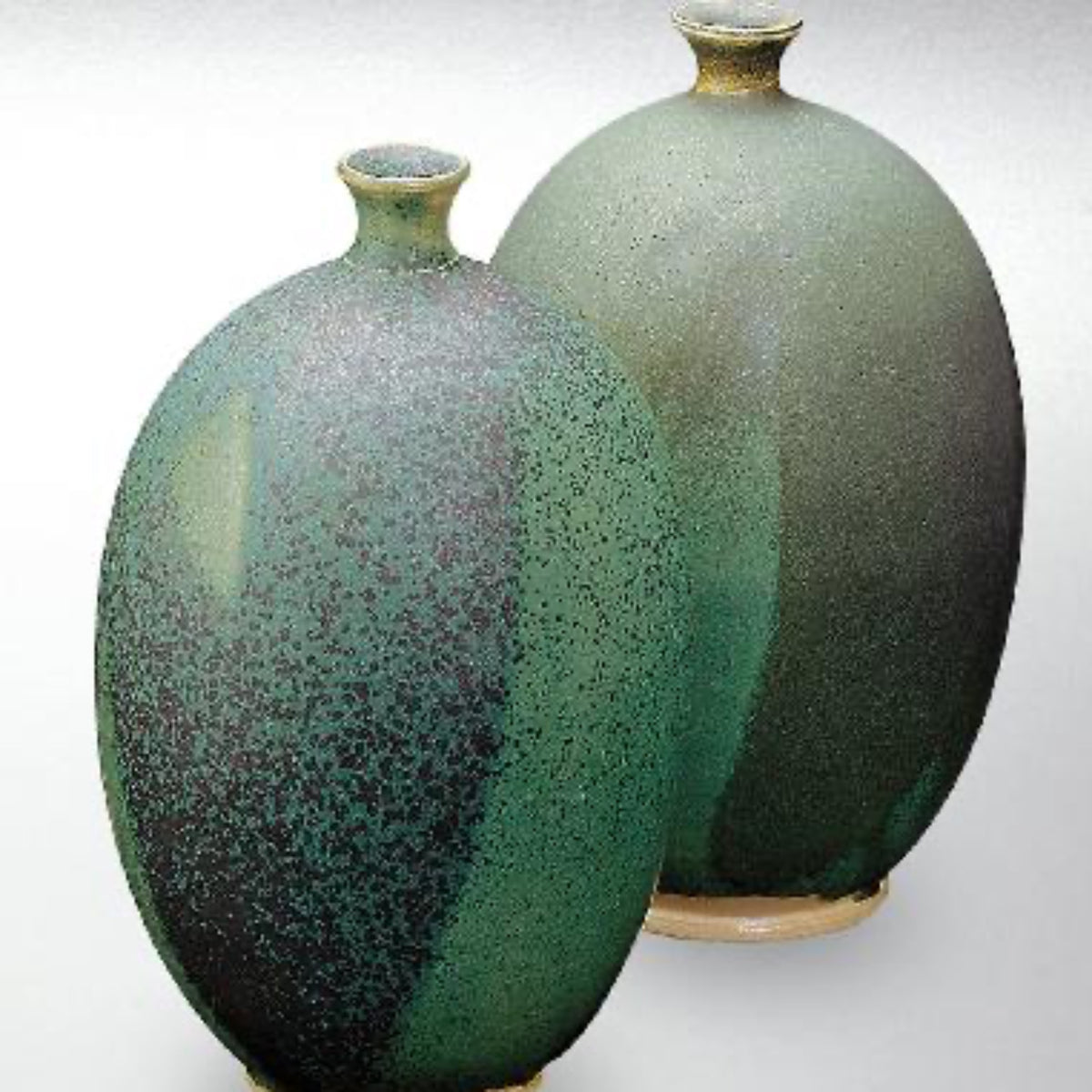 Terracolor Verdigris Green 662 Powdered Stoneware Glaze – Kettles ...